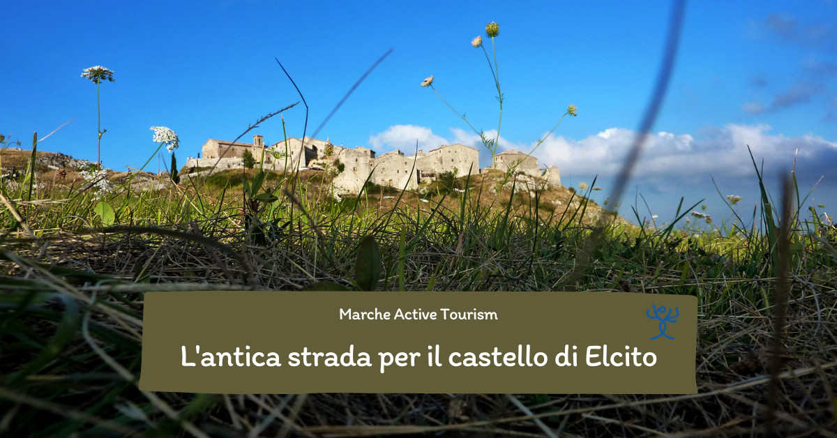 L'antica strada per il castello di Elcito