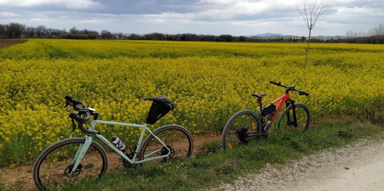 Dai colli dell'Infinito al mare in e-bike